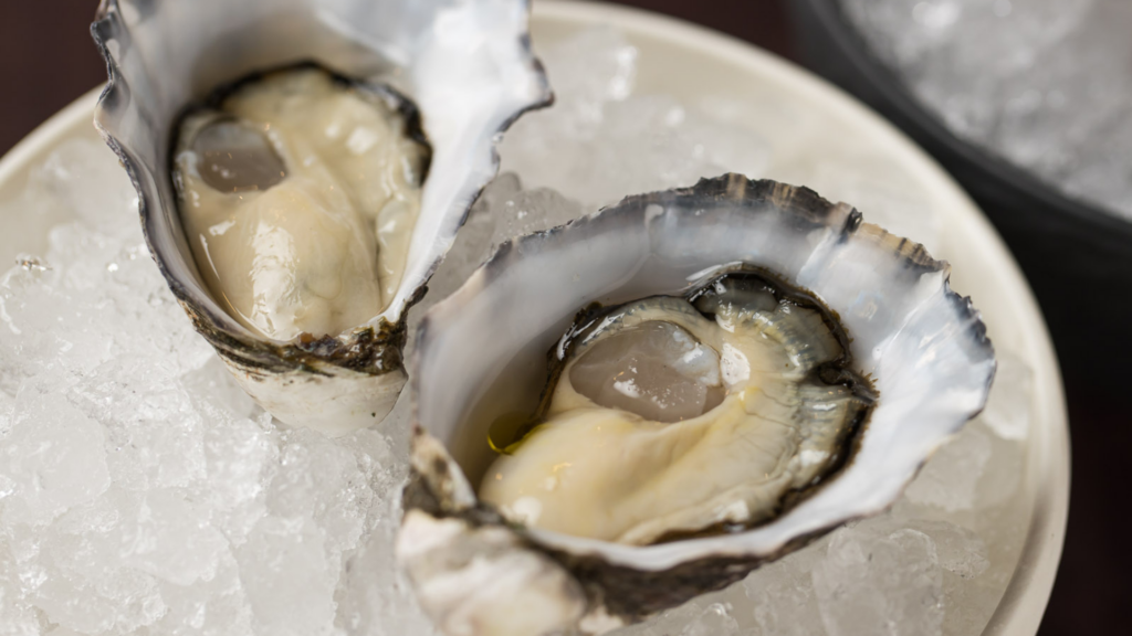 PIER BAR Sunset Hour| Pier One Sydney Harbour