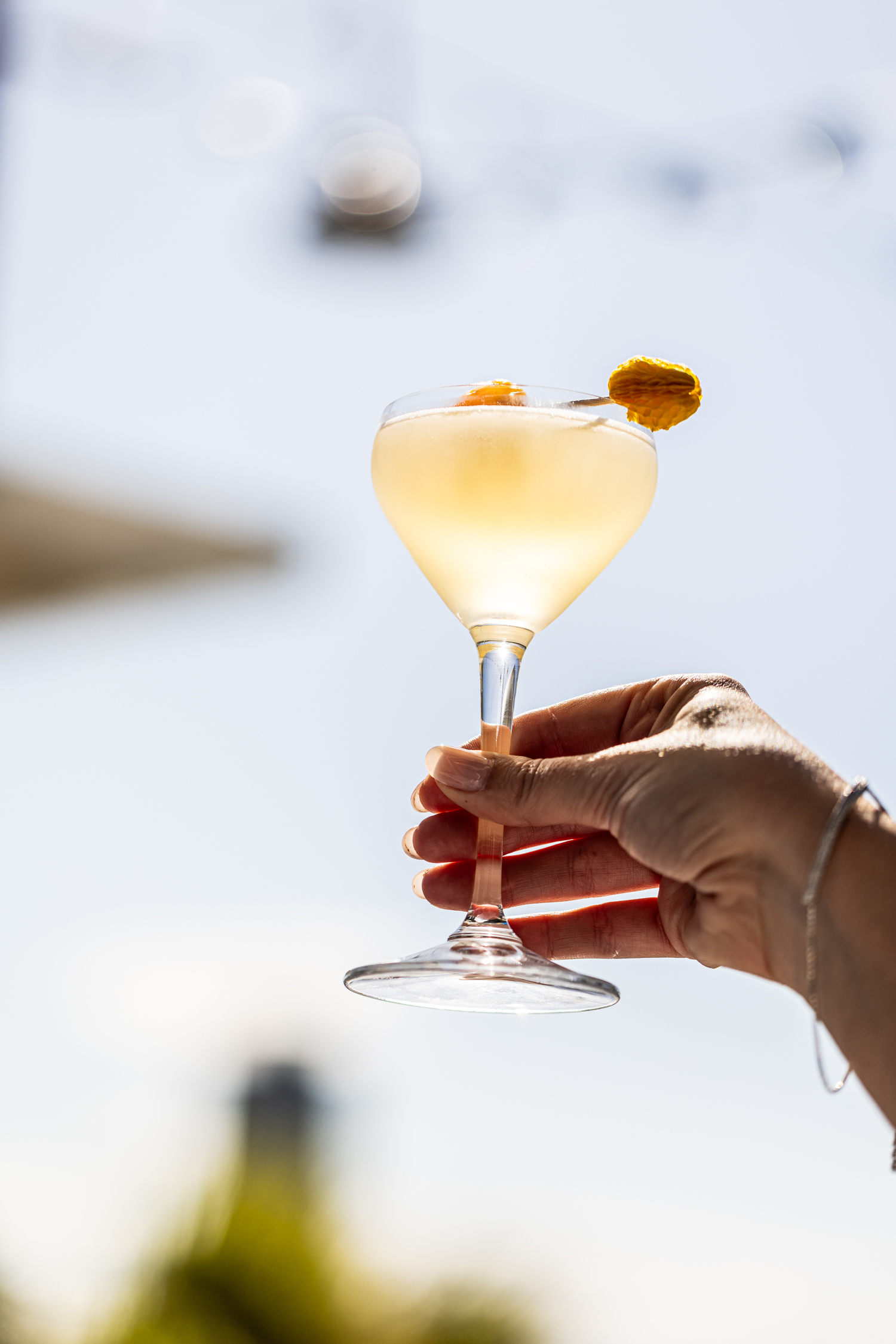 PIER BAR | Pier One Sydney Harbour